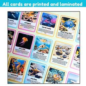 Ocean Facts Flash Cards | Sea Animals Flashcards With Real Pictures ...