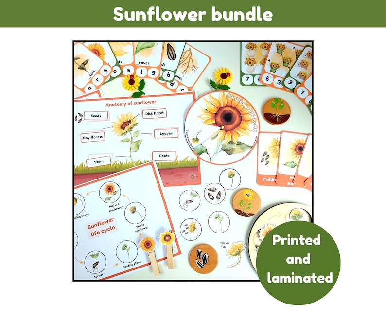 Sunflower Bundle | Sunflower Life Cycle | Sunflower Parts | Counting ...