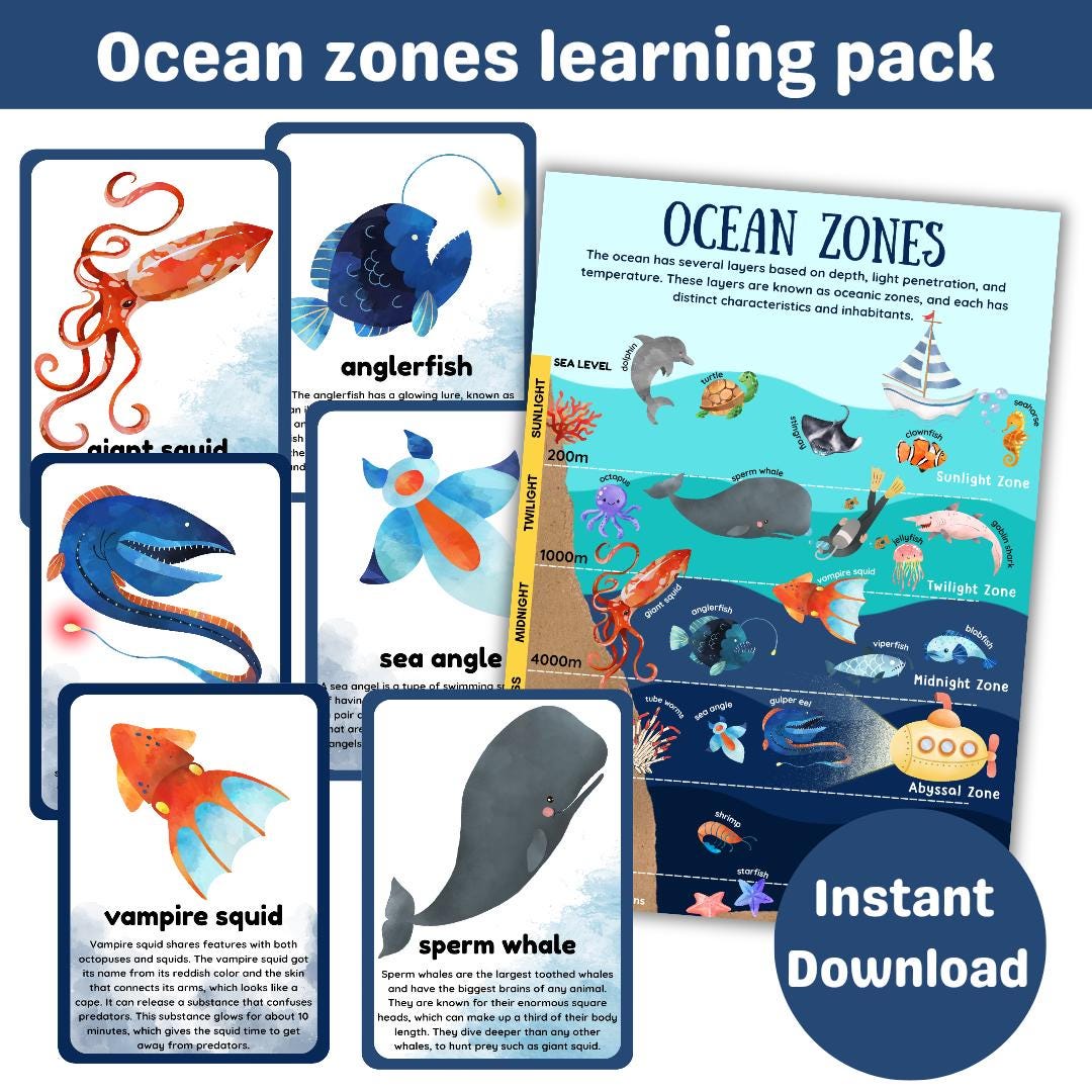 Ocean Zones Learning Pack | 12 Facts Flashcards | Deep Ocean| Posters ...