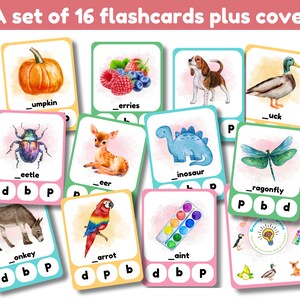 Different Between B, D and P Phonics Clip Flashcards | a Set of 16 ...