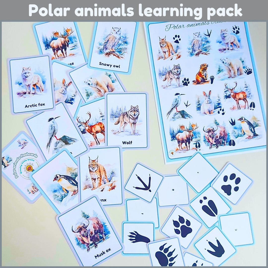 Polar Animals Tracks Learning Pack | Arctic Animals Flashcards | A4 ...
