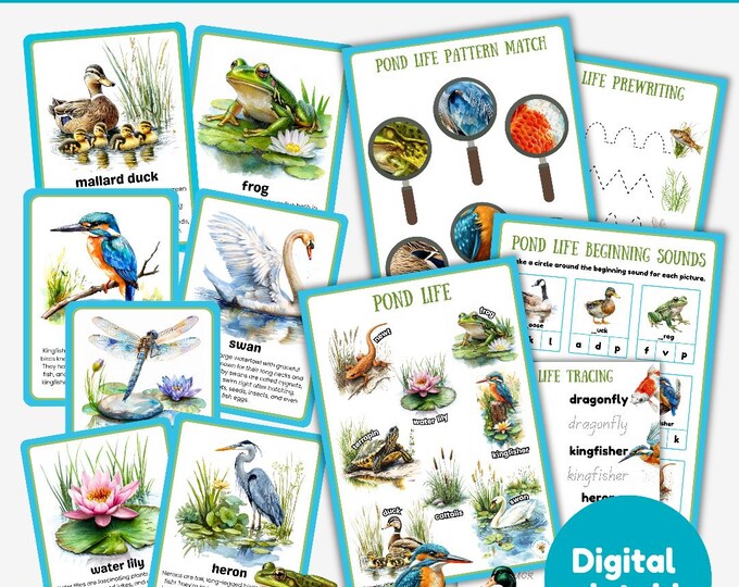 Frog Anatomy Poster - Educational Pond Printable - Etsy Canada