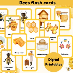 Bees Flash Cards Montessori Flashcards 16 Flashcards Digital Printables ...