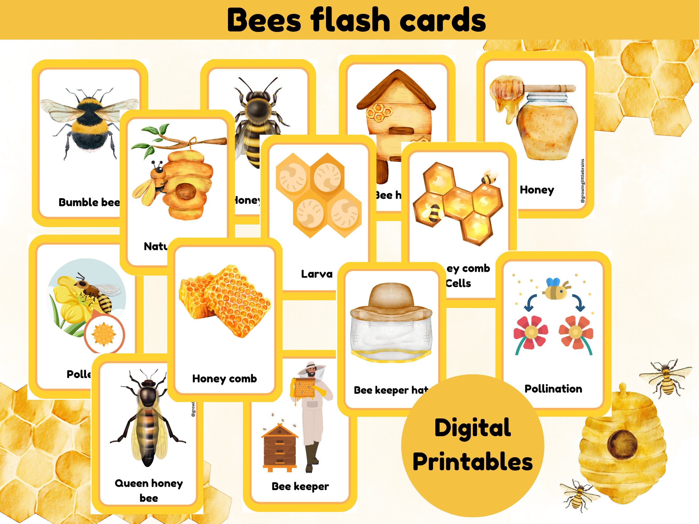 Bees Flash Cards Montessori Flashcards 16 Flashcards Digital Printables ...