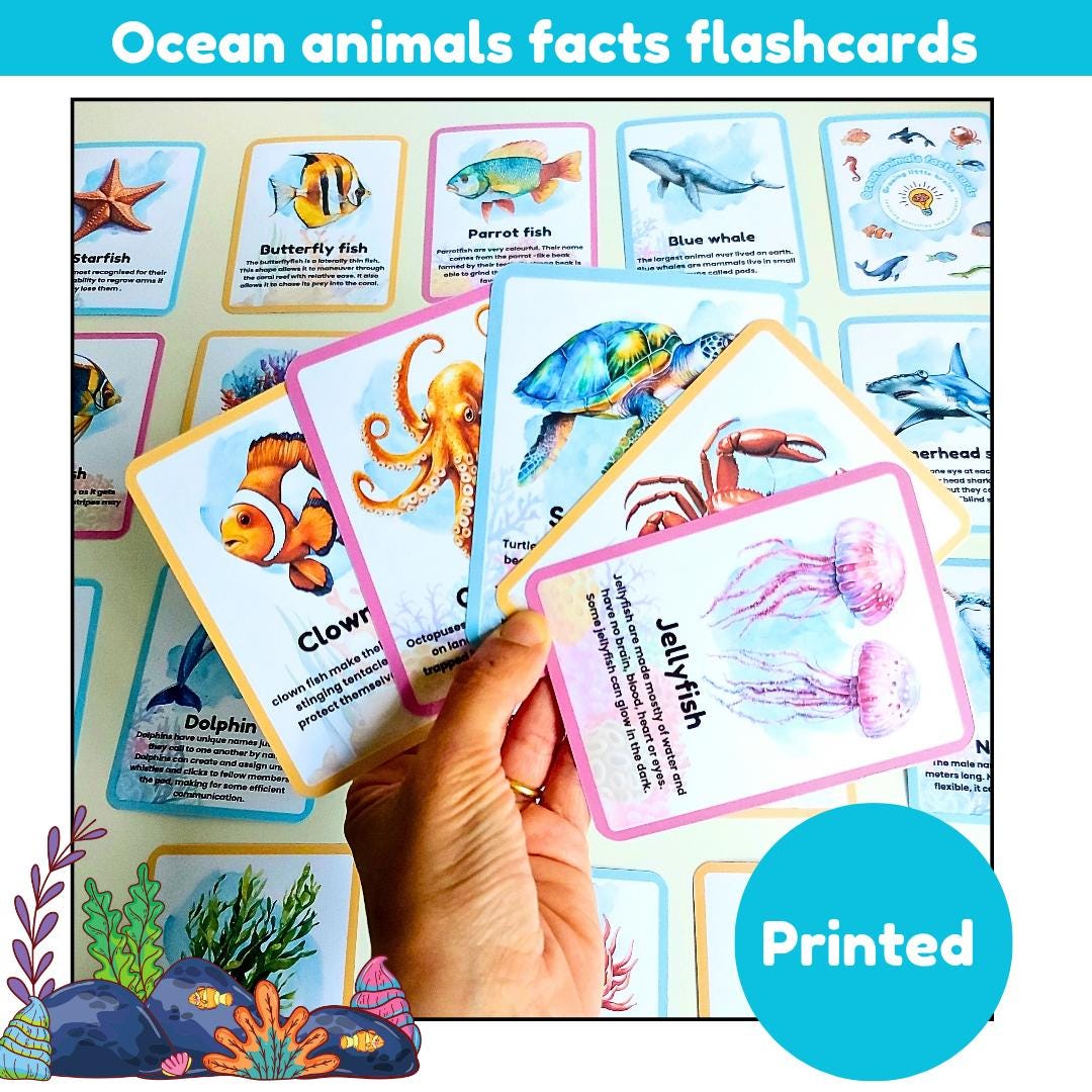Sea Animals Facts Flashcards | Ocean Animals | Montessori | Sealife ...