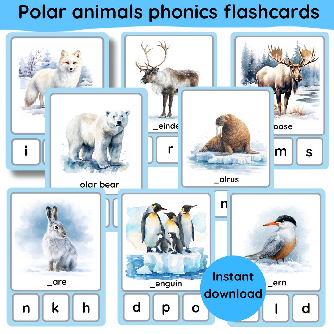 Polar Animals Beginning Sounds Cards | Arctic Animals | Phonics | 16 ...