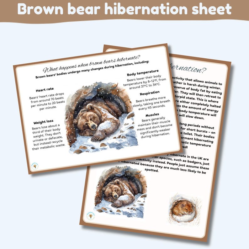 Hibernation Learning Pack: Watercolor Animals Flashcards & Poster ...