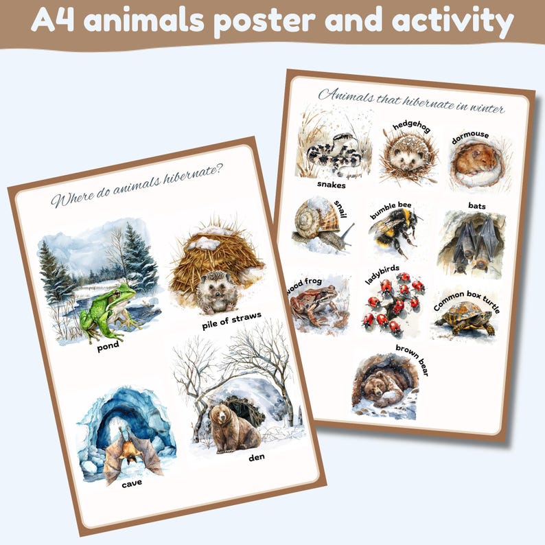 Hibernation Learning Pack: Watercolor Animals Flashcards & Poster ...