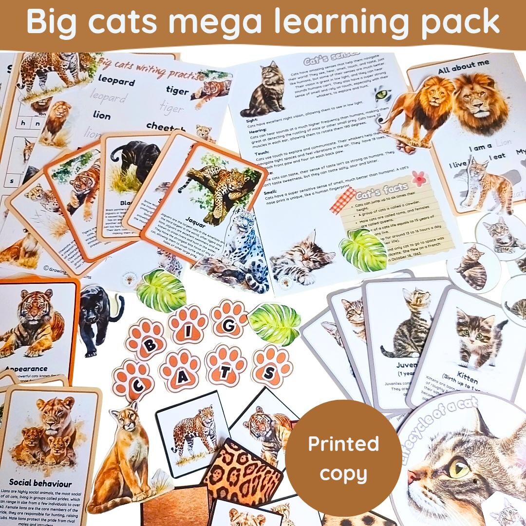 Big Cats Mega Learning Pack | Life Cycle of a Cat | Tigers | Lions ...
