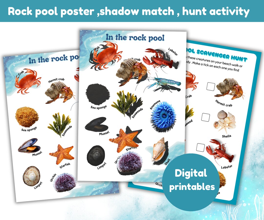 Rock Pool Poster Plus Scavenger Hunt Sheet and Shadow Match Activity ...