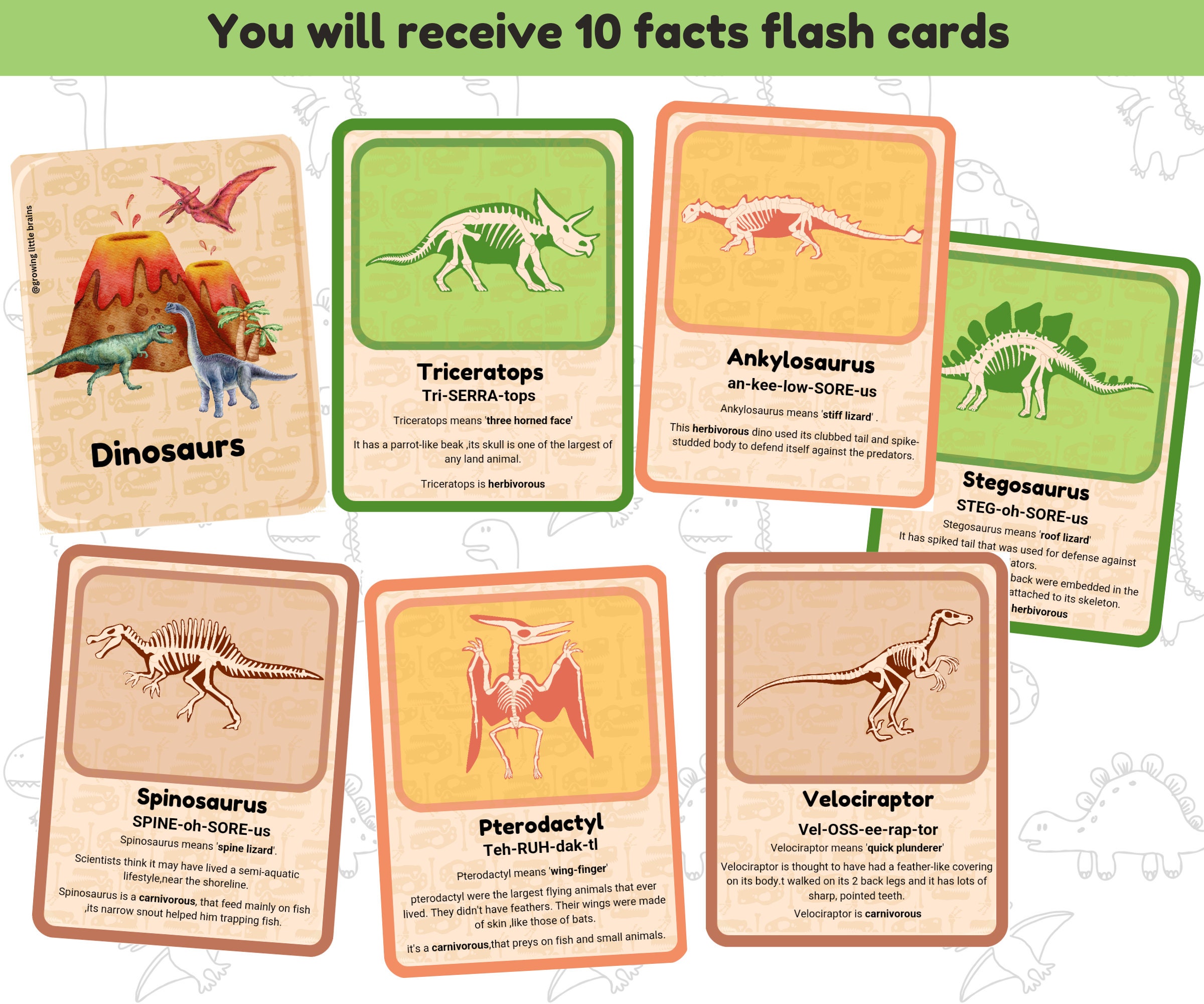 Dinosaurs Puzzle and Facts Flashcards 20 Dinosaurs Flashcards Digital ...