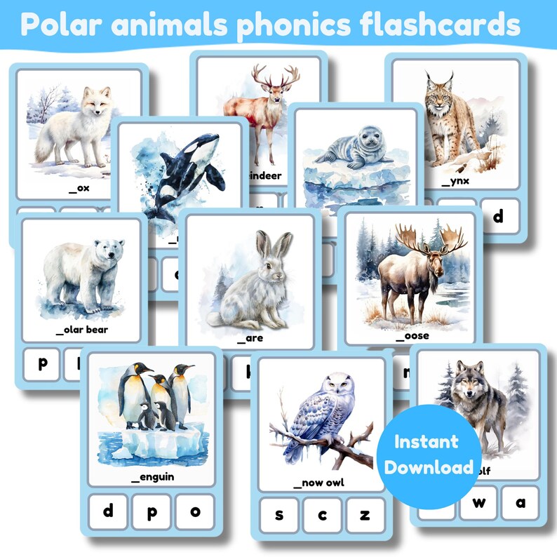 Polar Animals Beginning Sounds Cards | Arctic Animals | Phonics | 16 ...