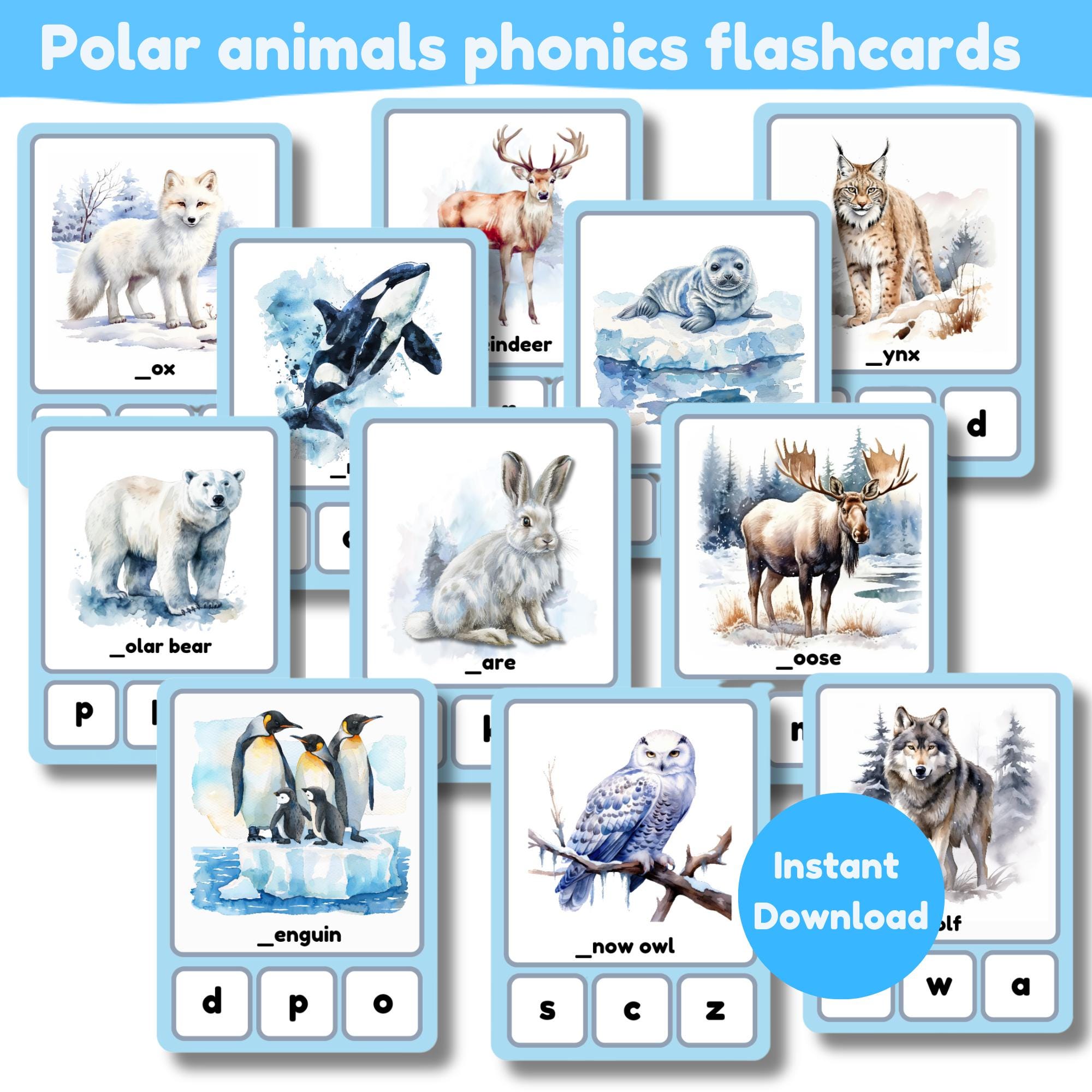 Polar Animals Beginning Sounds Cards | Arctic Animals | Phonics | 16 ...