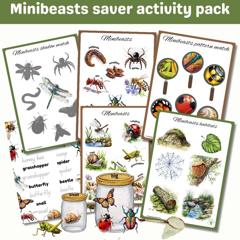 Minibeasts Learning Pack | 18 Facts Flashcards | Spring | Activity ...