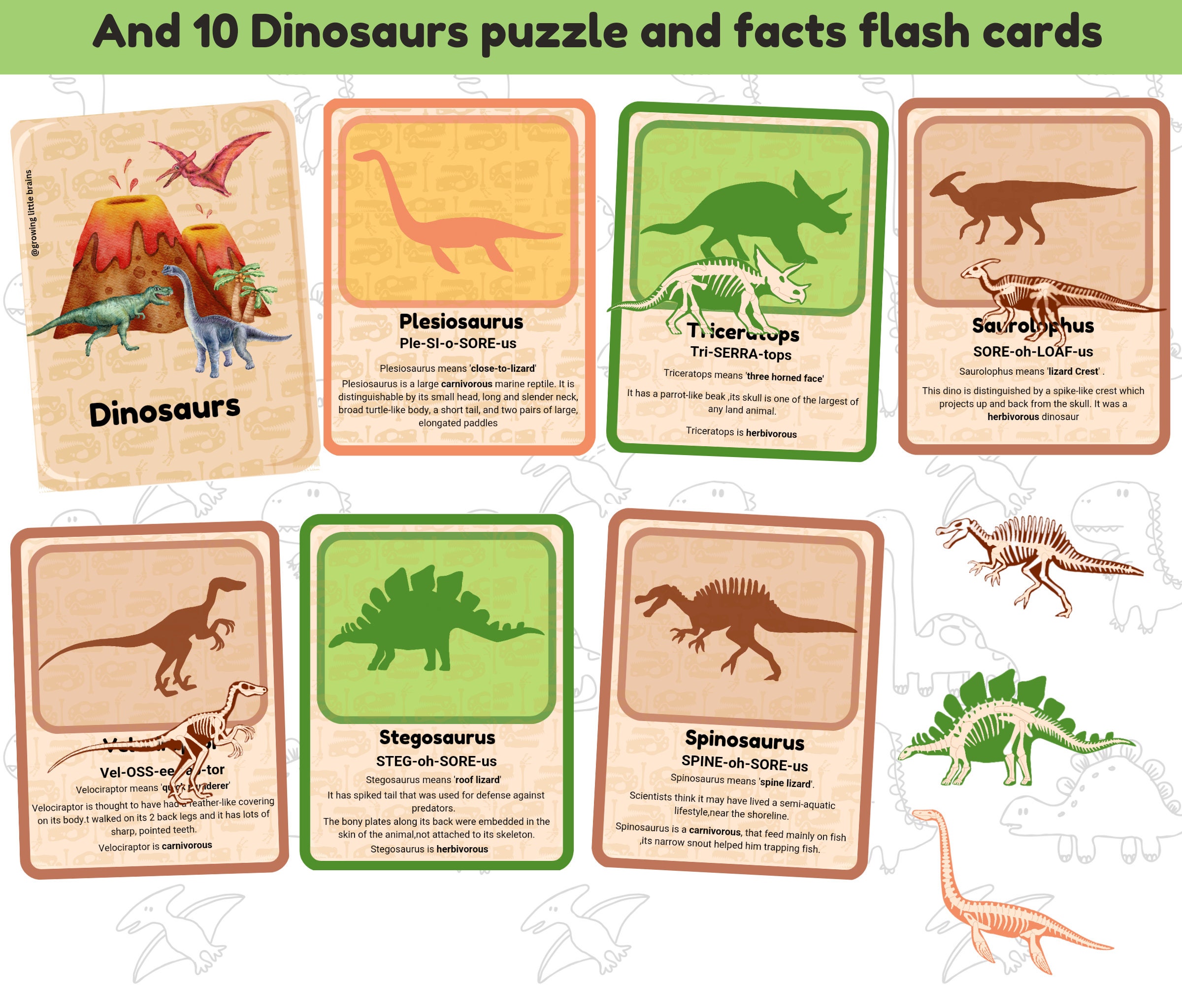 Dinosaurs Puzzle and Facts Flashcards 20 Dinosaurs Flashcards Digital ...