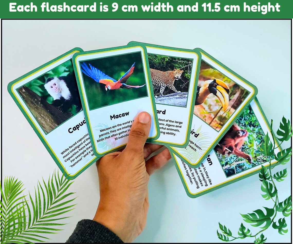 Rainforest Facts Flashcards | Jungle Animals Flashcards | Montessori ...