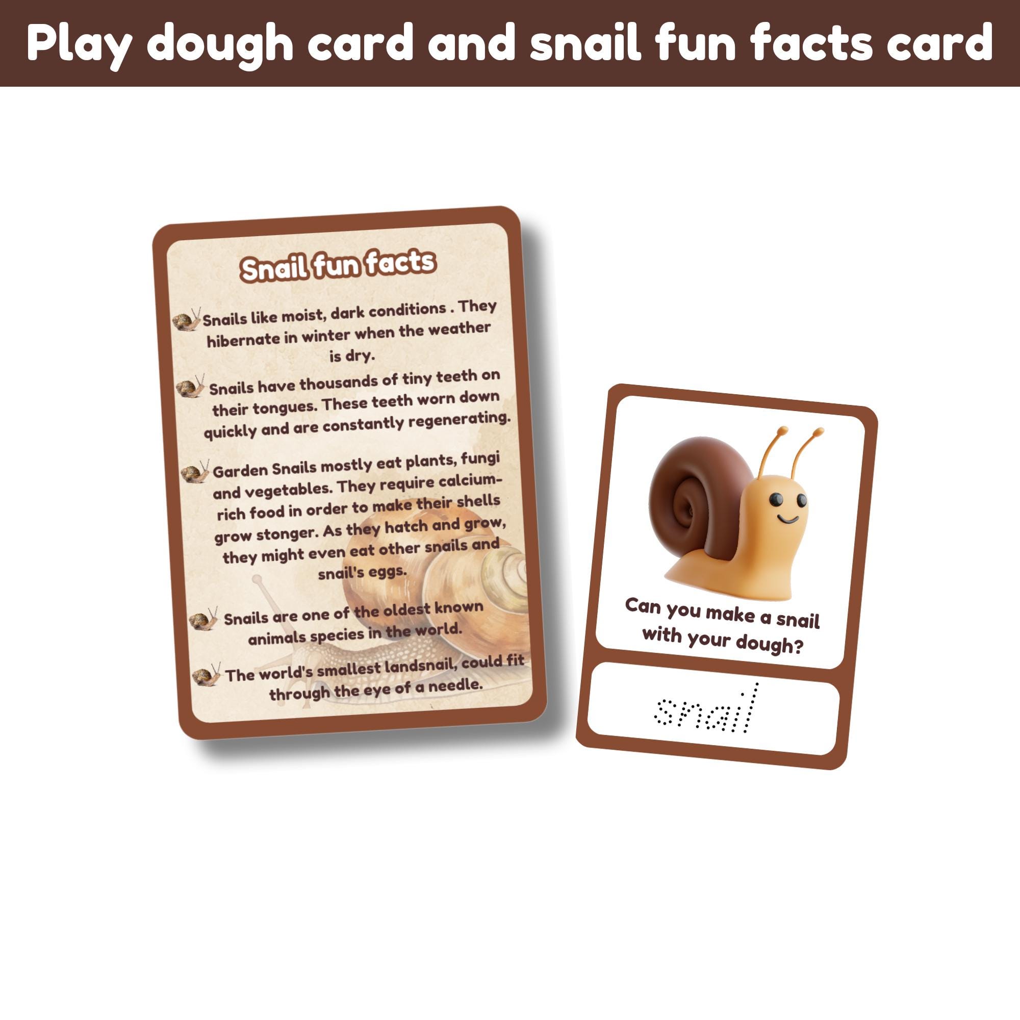 Snail Lifecycle Learning Pack | Flashcards | Lifecycle Wheel | Anatomy ...