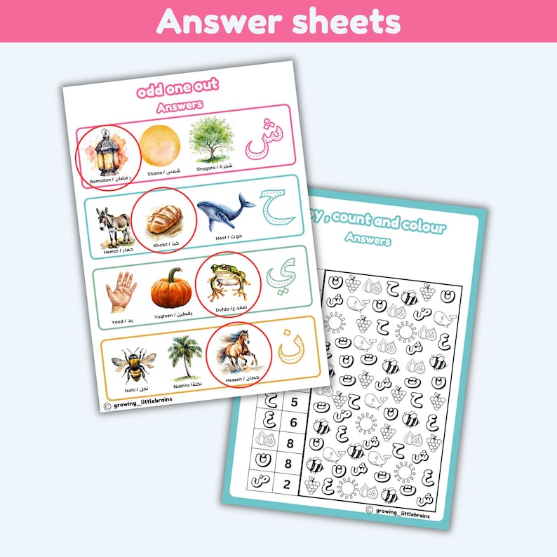 Arabic Alphabets in Quran | 28 Flashcards and Busy Book | Islamic ...