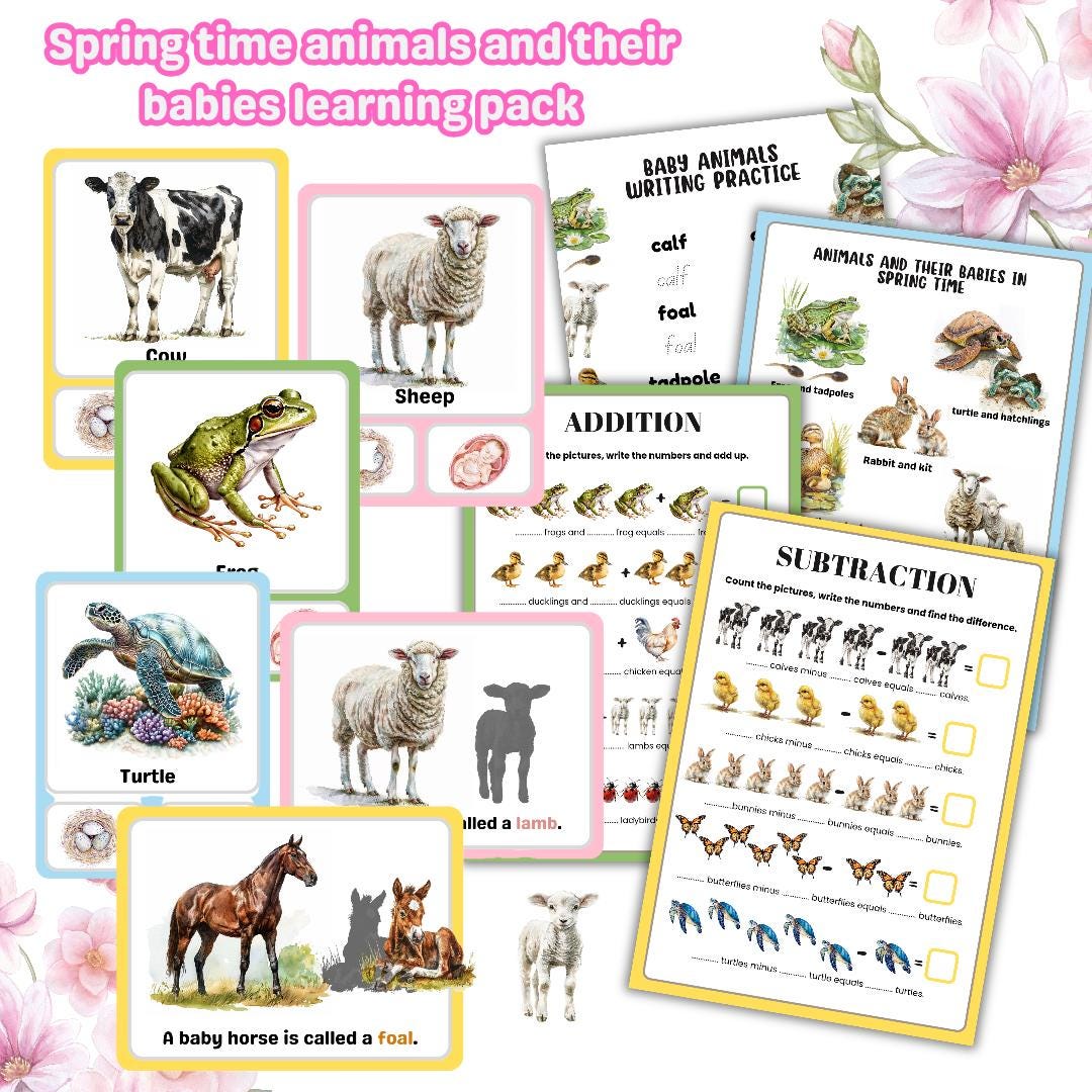 Spring Animals and Their Babies Learning Pack | Spring | Activity ...