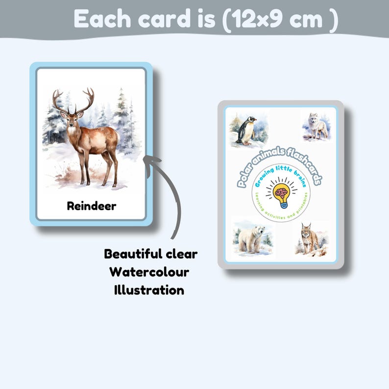 Polar Animals Learning Pack | Animals Tracks | Footprints | A4 Poster ...