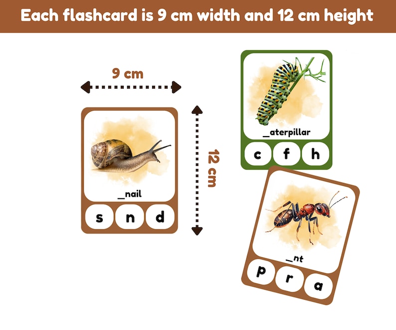 Minibeasts Phonics Flashcards | Beginning Sounds Flashcards | Bugs ...