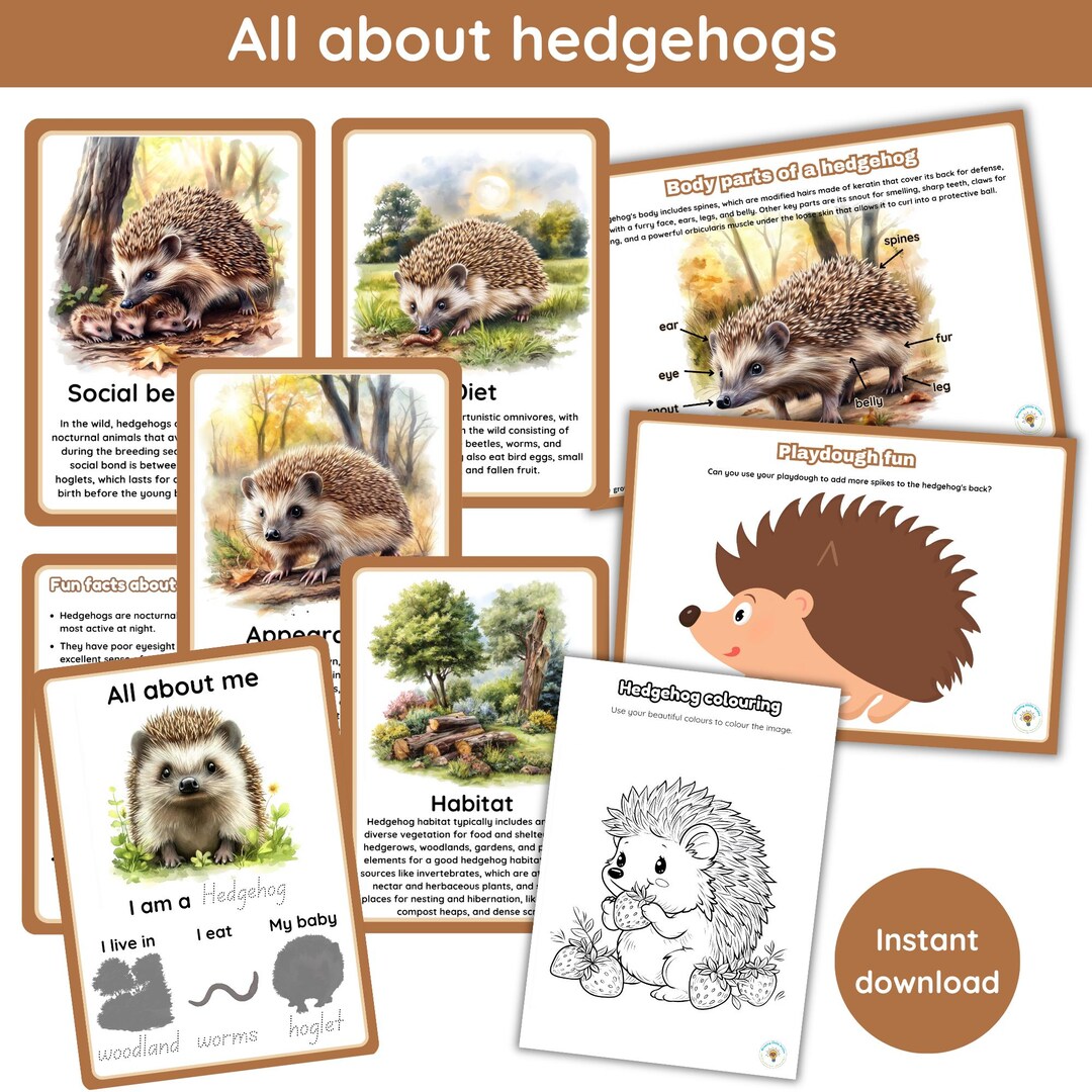 Hedgehog Learning Pack: Flashcards, Charts, Coloring (digital ...