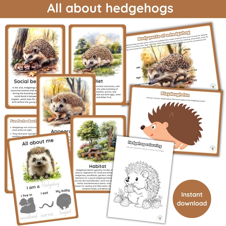 Hedgehog Learning Pack: Flashcards, Charts, Coloring (digital ...