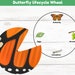 Monarch Butterfly Lifecycle Butterfly Lifecycle Flashcards and Chart ...