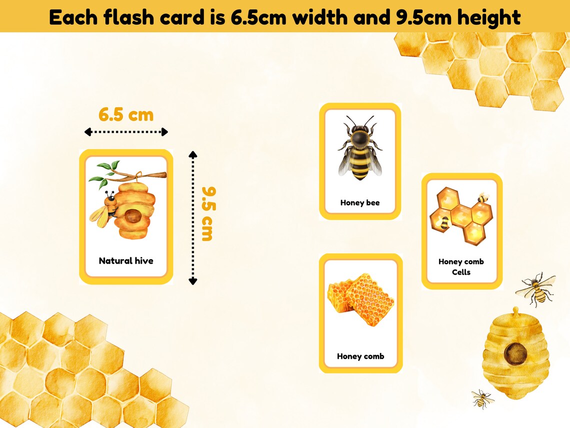 Bees Flash Cards Montessori Flashcards 16 Flashcards Digital Printables ...