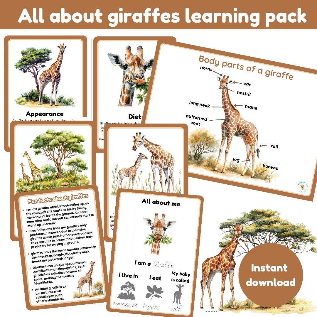 All About Giraffes Learning Pack | Giraffe | Savannas | Animals ...