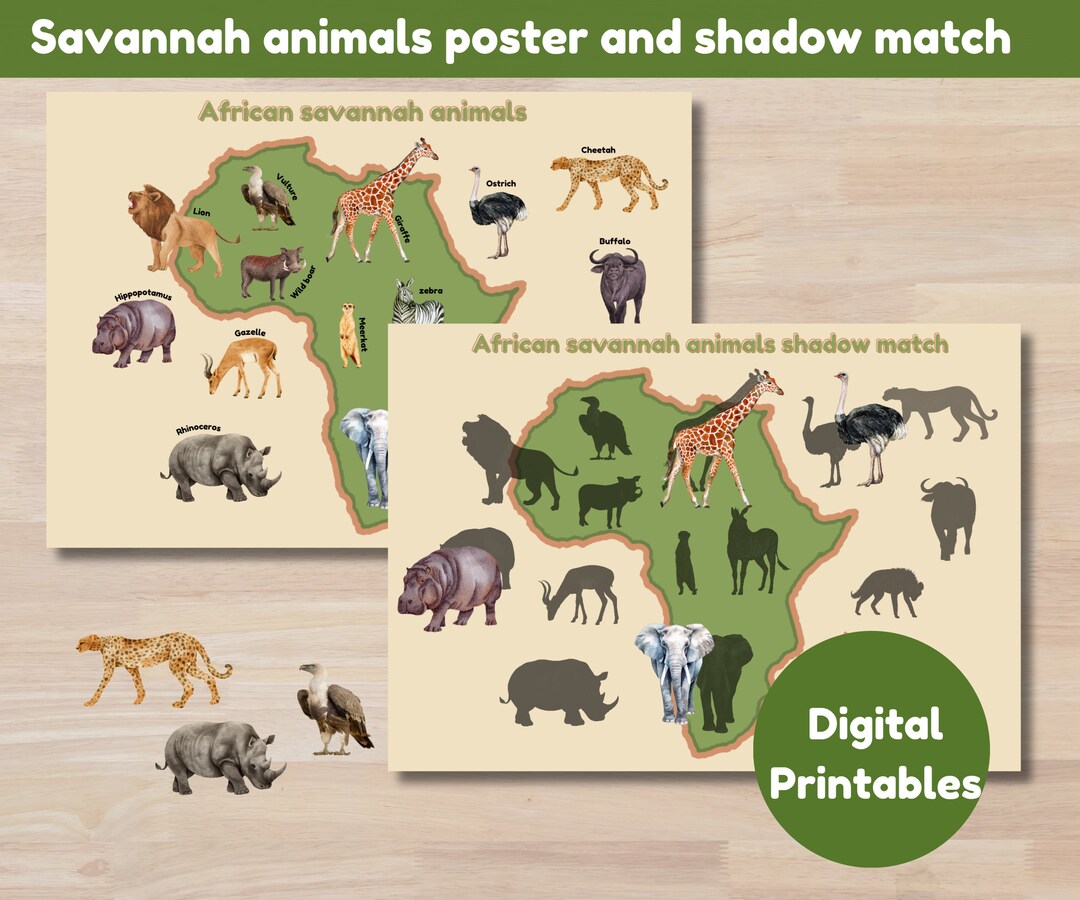 Savannah Animals Poster and Shadow Match Activity| Safari Animals ...