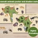 Rainforest Facts Flashcards | a Set of 20 Flashcards | Jungle Animals ...