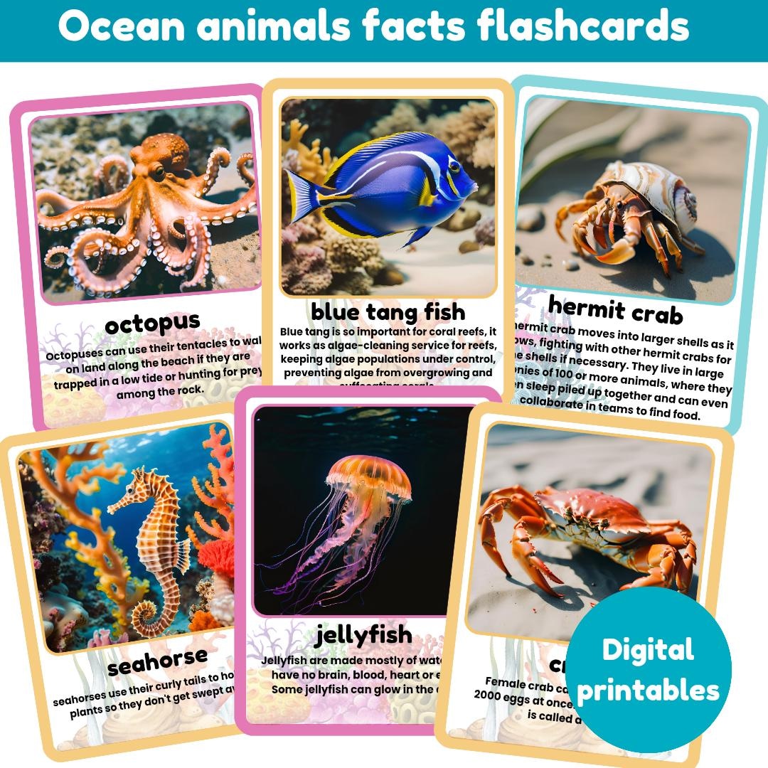 Ocean Animals Facts Flashcards | 30 Flashcards | Sealife Flashcards ...