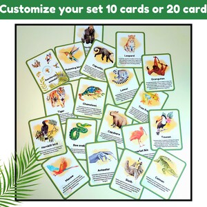Rainforest Facts Flashcards | Jungle Animals Flashcards | Beautiful ...