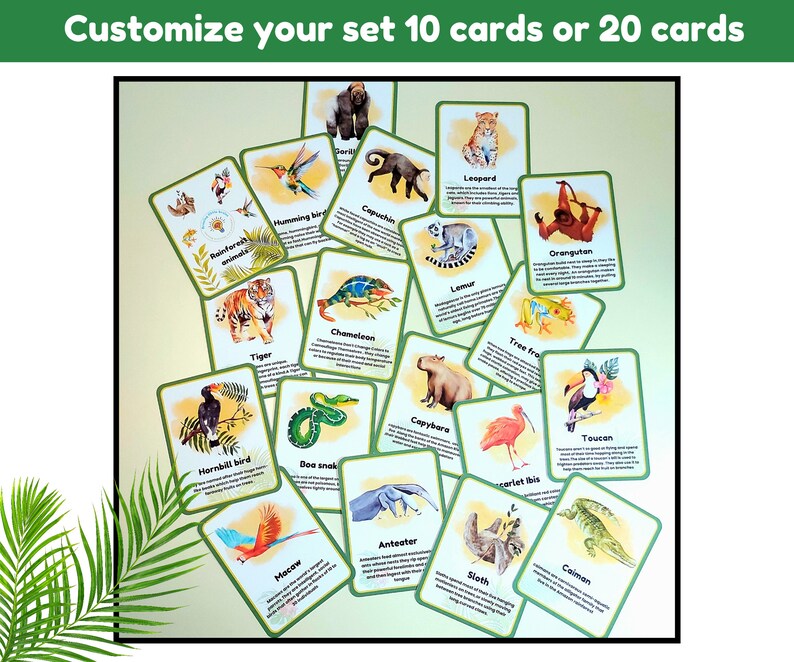 Rainforest Facts Flashcards | Jungle Animals Flashcards | Beautiful ...