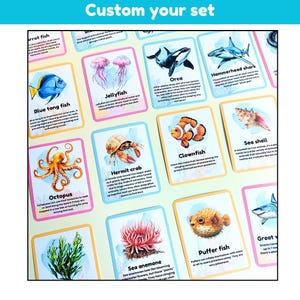 Sea Animals Facts Flashcards | Ocean Animals | Montessori | Sealife ...