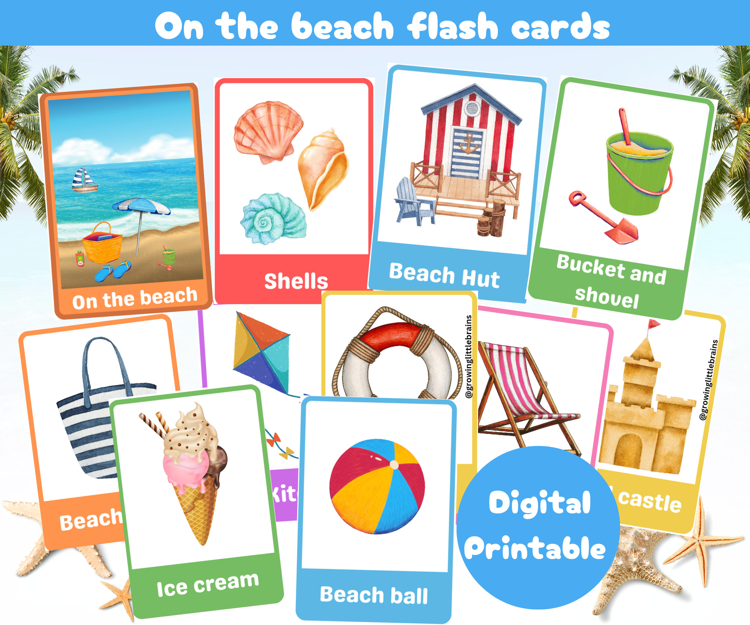 On the Beach Flash Cards | 24 Colourful Beach Flash Cards | Summer ...