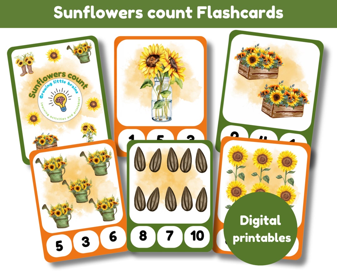 Sunflowers Counting Clip Flashcards | a Set of 10 Flashcards Plus ...