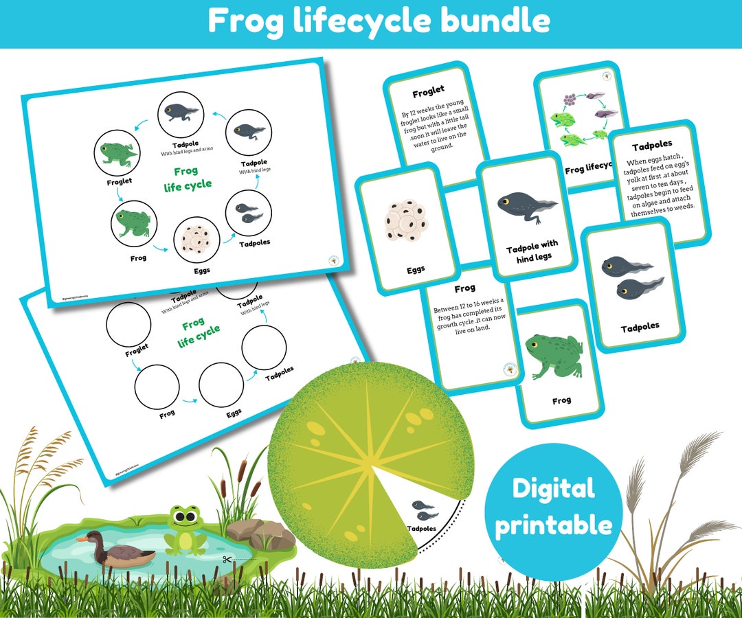 Frog Lifecycle Bundle Frog Lifecycle Flashcards and Chart Montessori ...