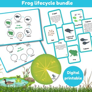 Rainforest Facts Flashcards a Set of 20 Flashcards Jungle Animals ...