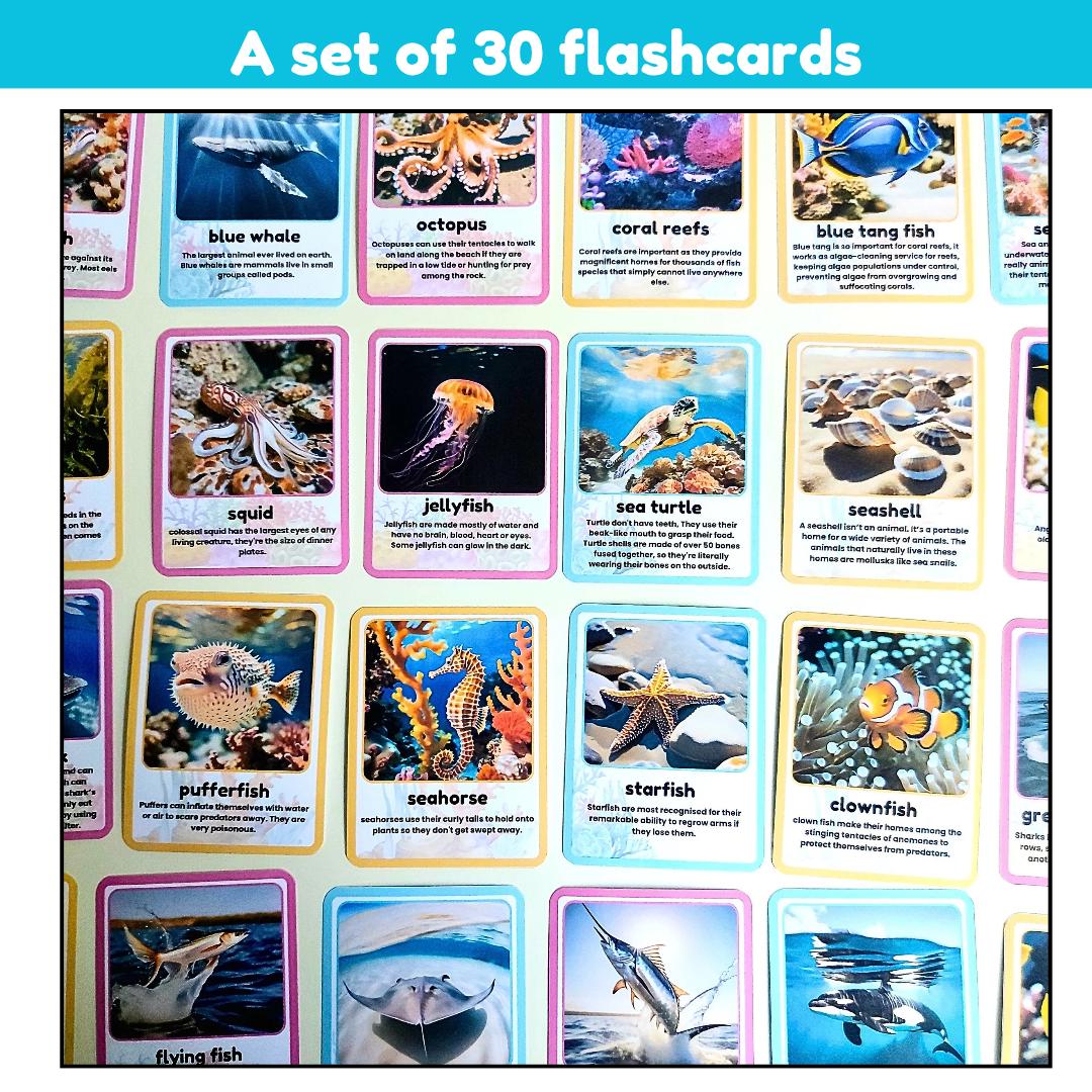 Ocean Facts Flash Cards | Sea Animals Flashcards With Real Pictures ...