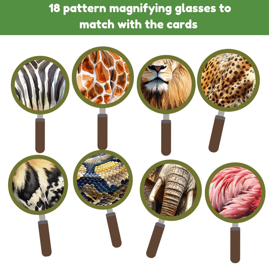 Savannah Animals Learning Pack | Set of 18 Flashcards | Pattern Match ...