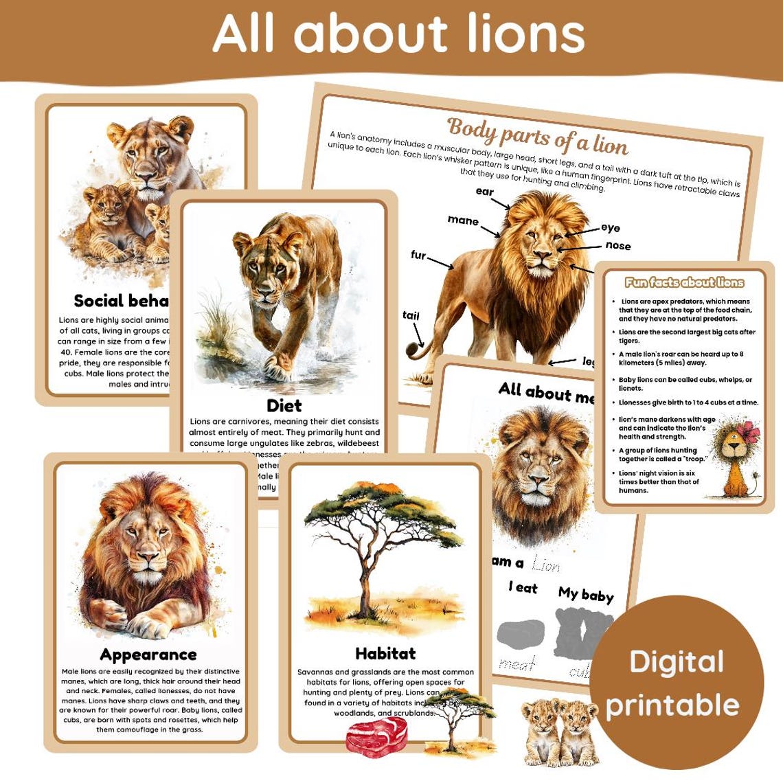 All About Lions Learning Pack | Lions | Rainforest | Jungle Animals ...