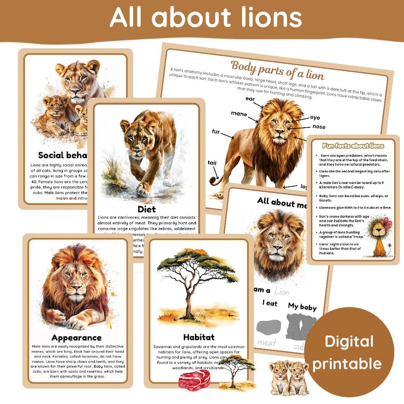 Parts of Lion - Etsy