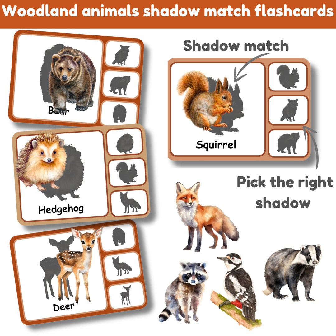 Woodland Animals Shadow Match Clip Flashcards | a Set of 12 Flashcards ...