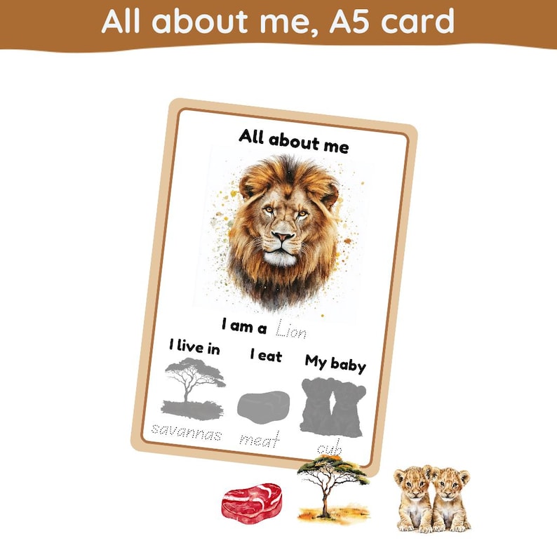 All About Lions Learning Pack | Lions | Rainforest | Jungle Animals ...