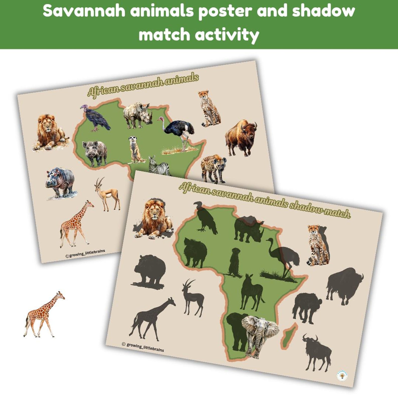 Savannah Animals Learning Pack | Set of 18 Flashcards | Pattern Match ...