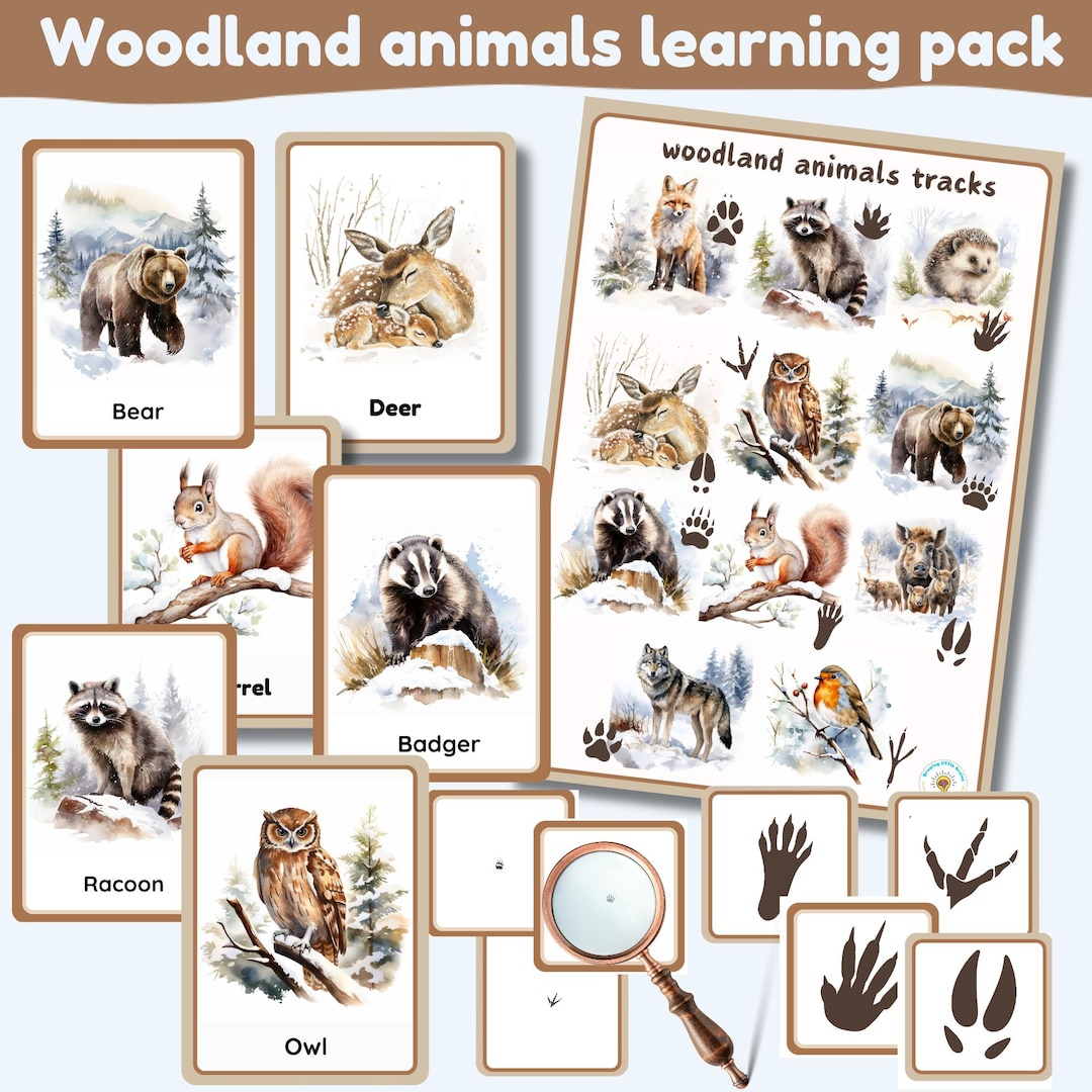 Woodland Animals Winter Learning Pack: Flashcards, Tracks Poster ...