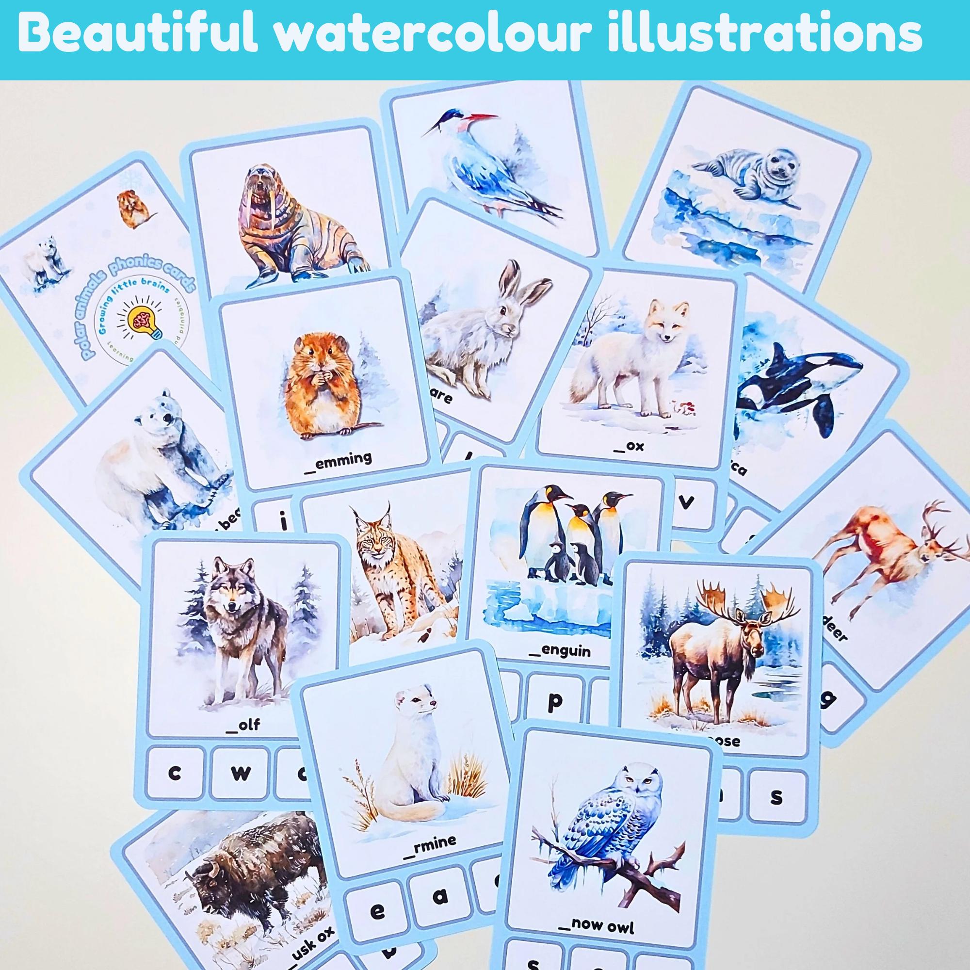 Polar Animals Phonics Flashcards | 16 Flashcards | Watercolour ...