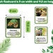Rainforest Facts Flashcards | a Set of 20 Flashcards | Jungle Animals ...